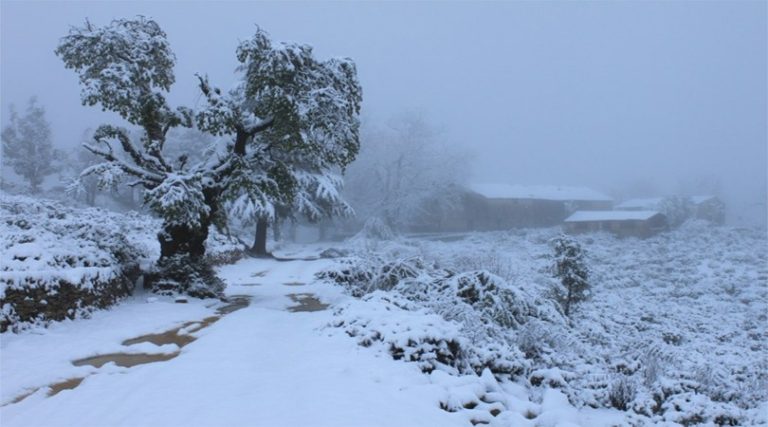 Beautiful Winter Destinations in India for Snowy Holidays – Welcome to ...