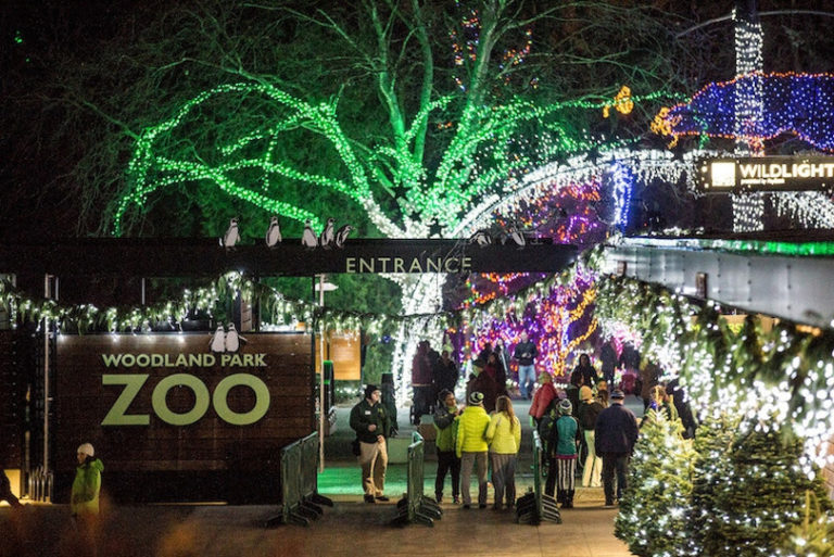 Wonderful Zoos in the World for Thrilling Night Experience – Welcome to ...