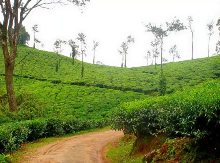 Coorg: The Switzerland of India – Welcome to Traveling To World: The ...